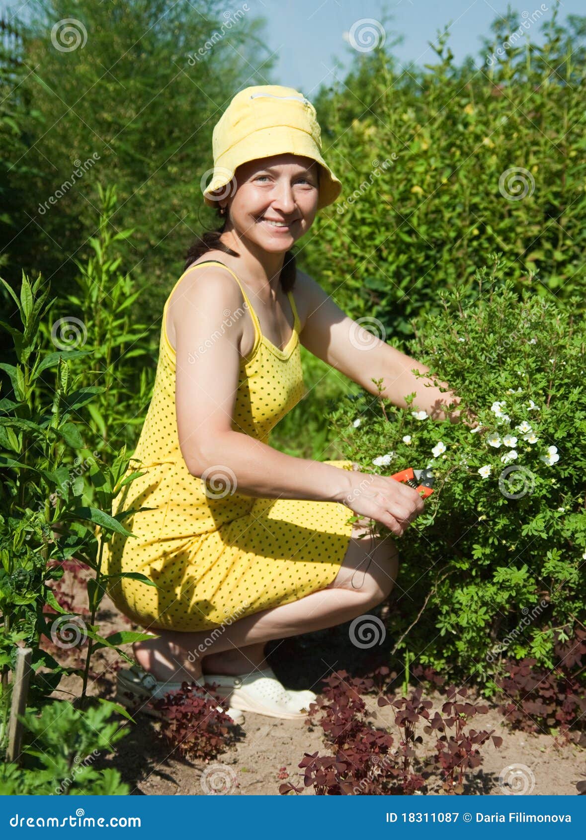 Woman Gardening stock image. Image of planting, woman - 18311087