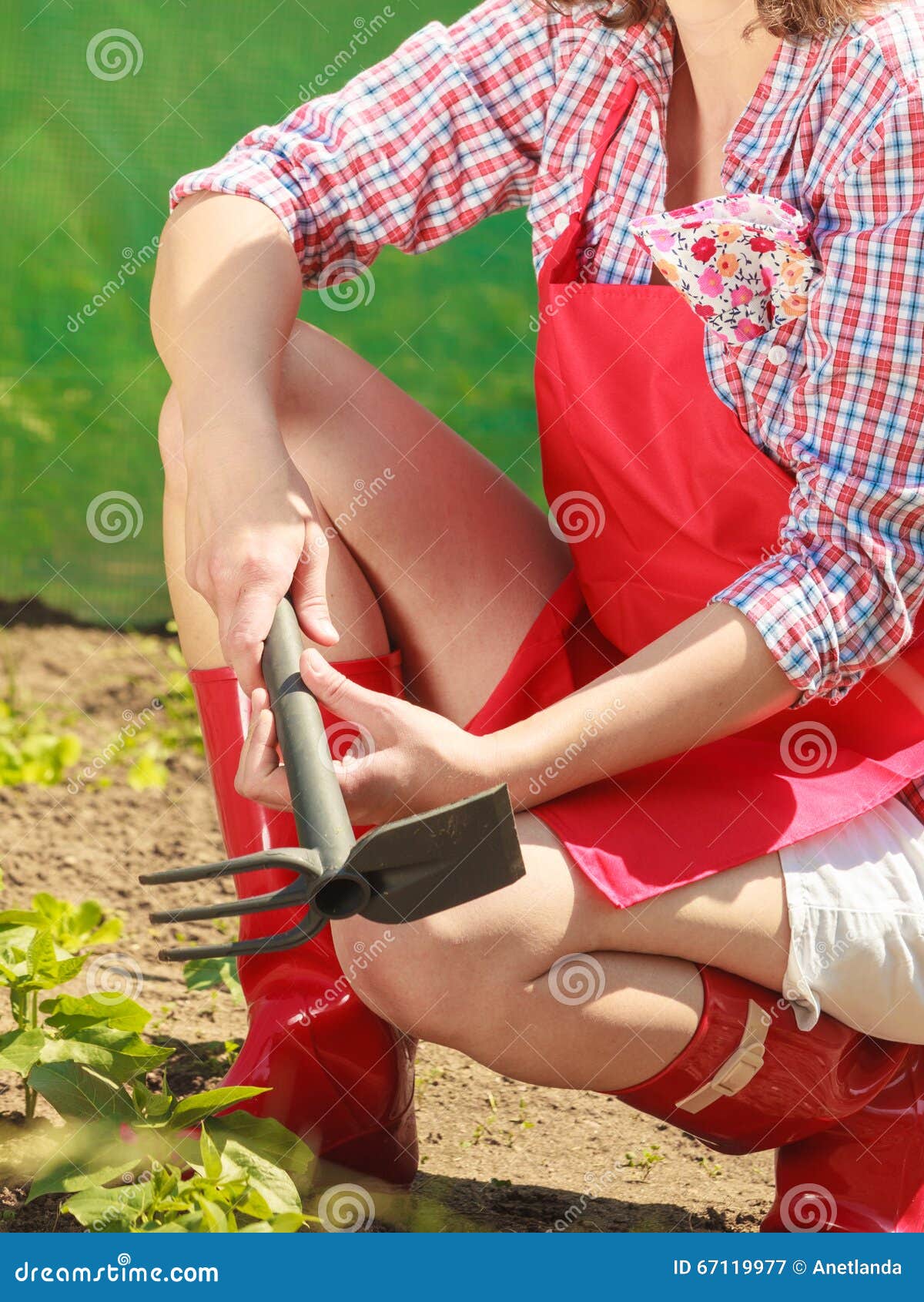 Woman With Gardening Tool Working In Garden Stock Image Image Of