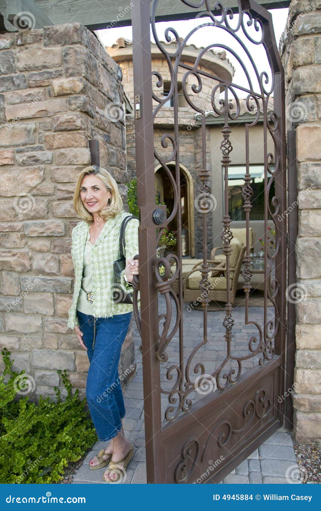 Woman at the gate stock photo. Image of gate, mature, attorney - 4945884