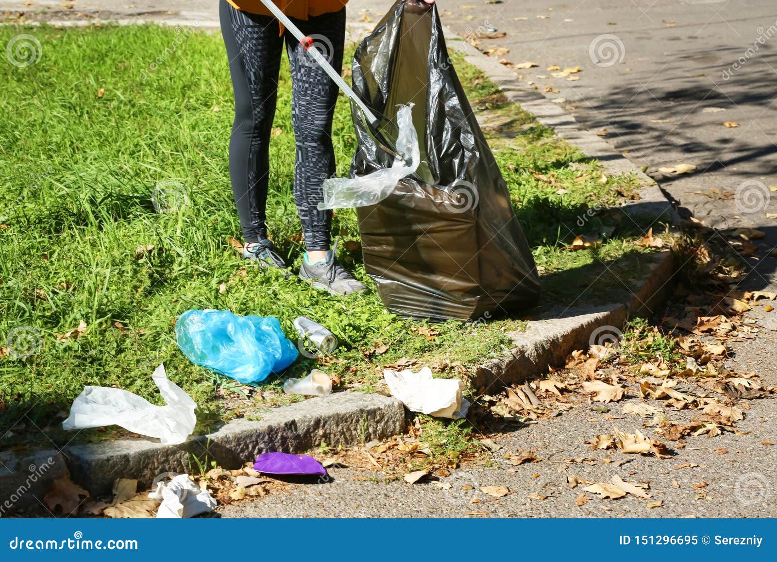 Woman Gathering Trash in Park Stock Image - Image of preservation, path ...