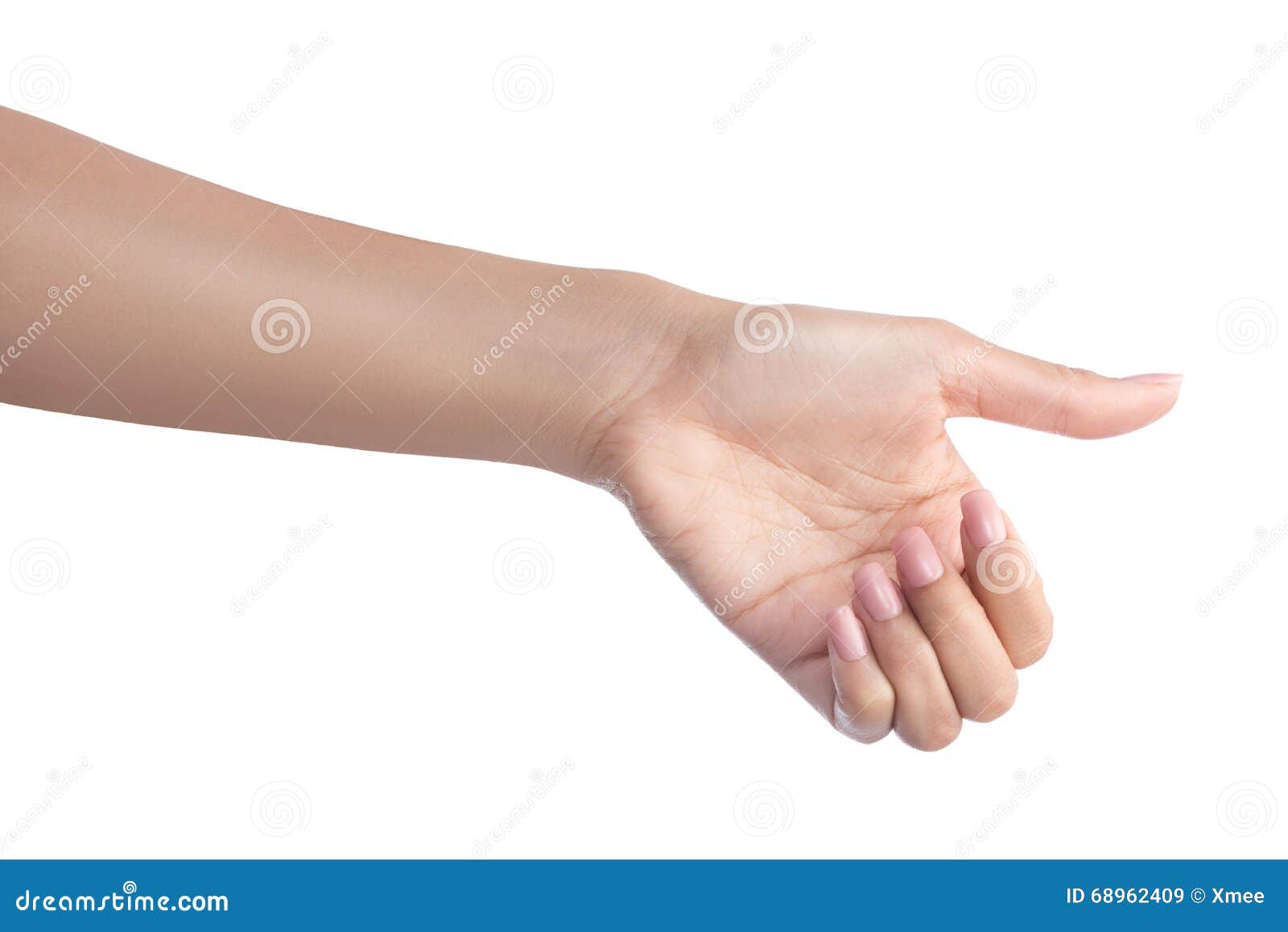 Woman Gesture Hand Holding Object Stock Image - Image of cosmetics ...