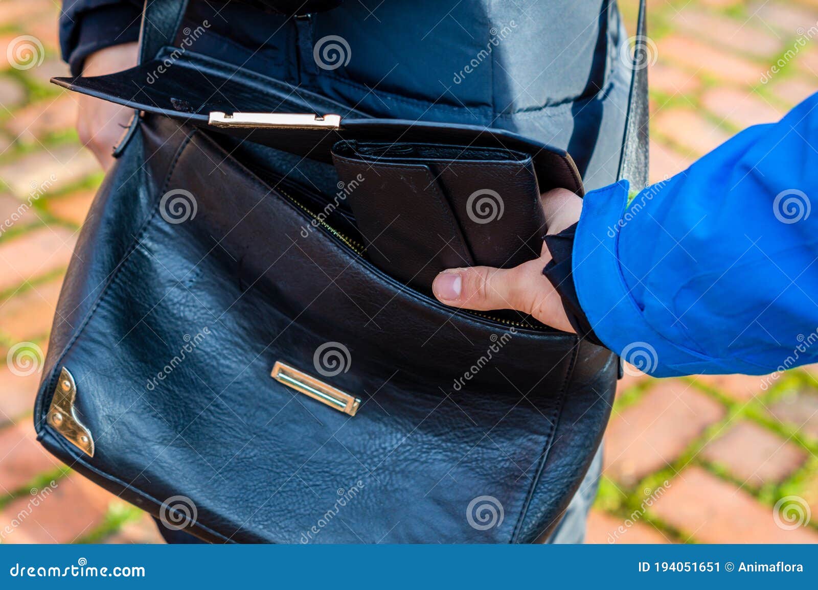 Woman Gets Her Wallet Stolen Stock Image - Image of crime, fashion ...