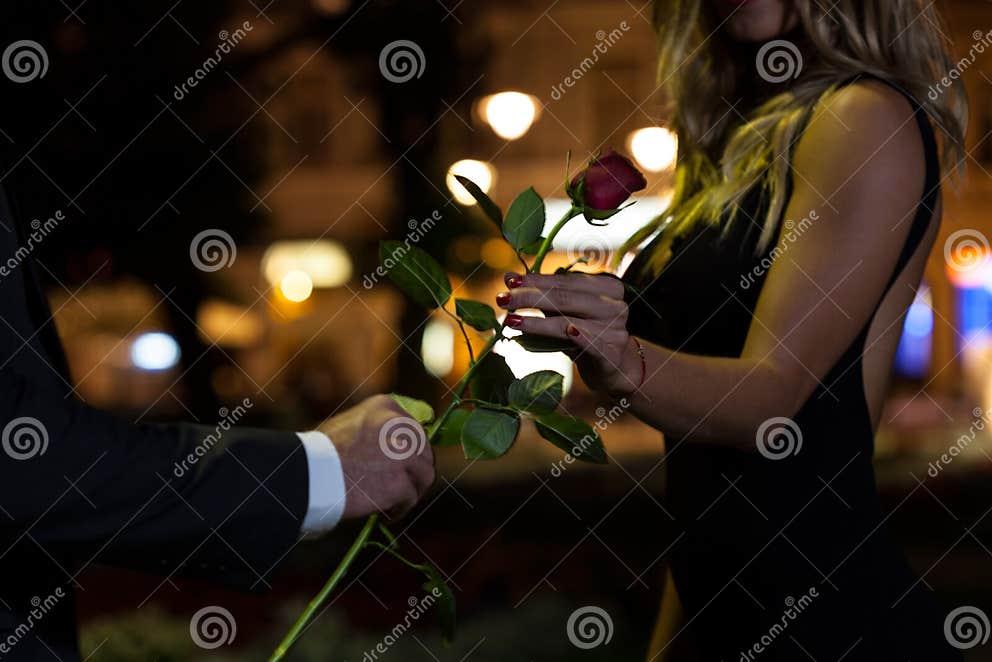 Woman Getting Rose on First Date Stock Image - Image of engagement ...