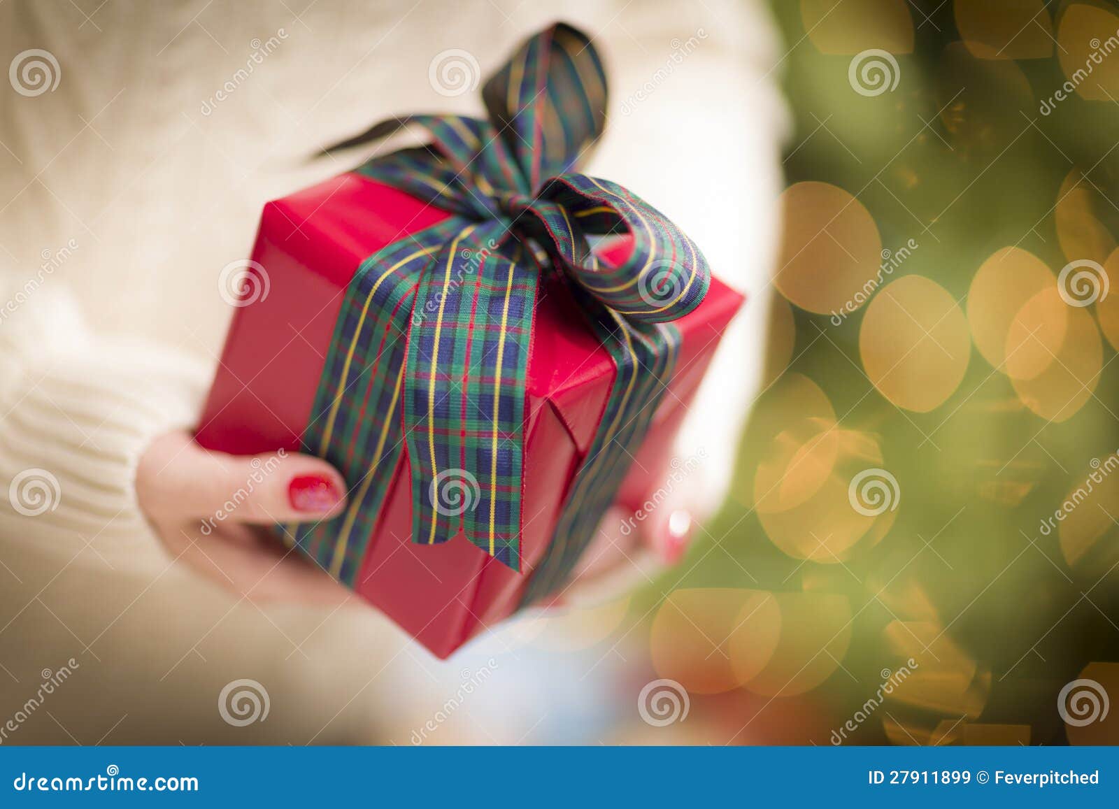 Woman Giving a Christmas Gift Stock Image - Image of green, season ...