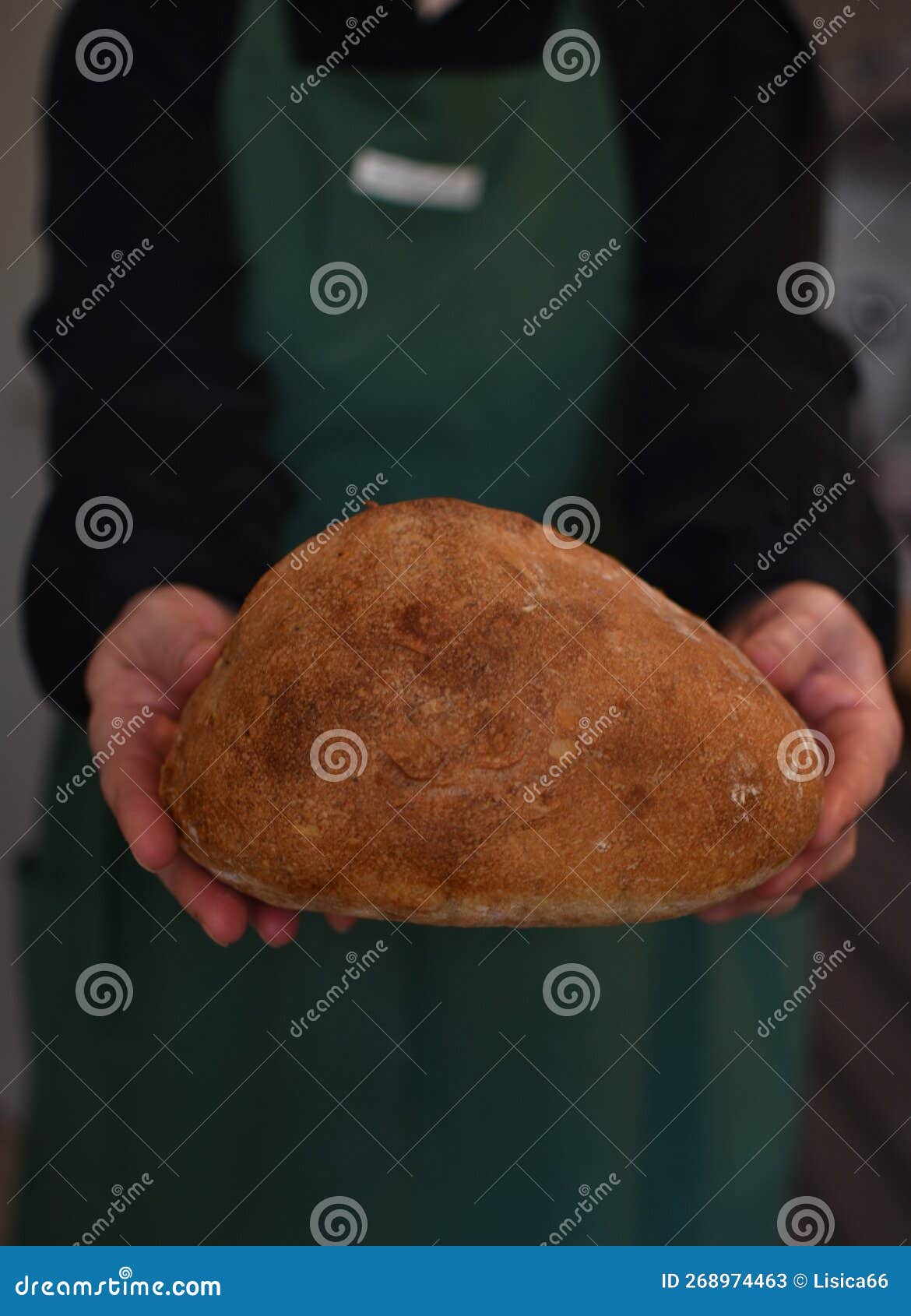 Woman in Green Apron Holding Bread Stock Image - Image of grain ...