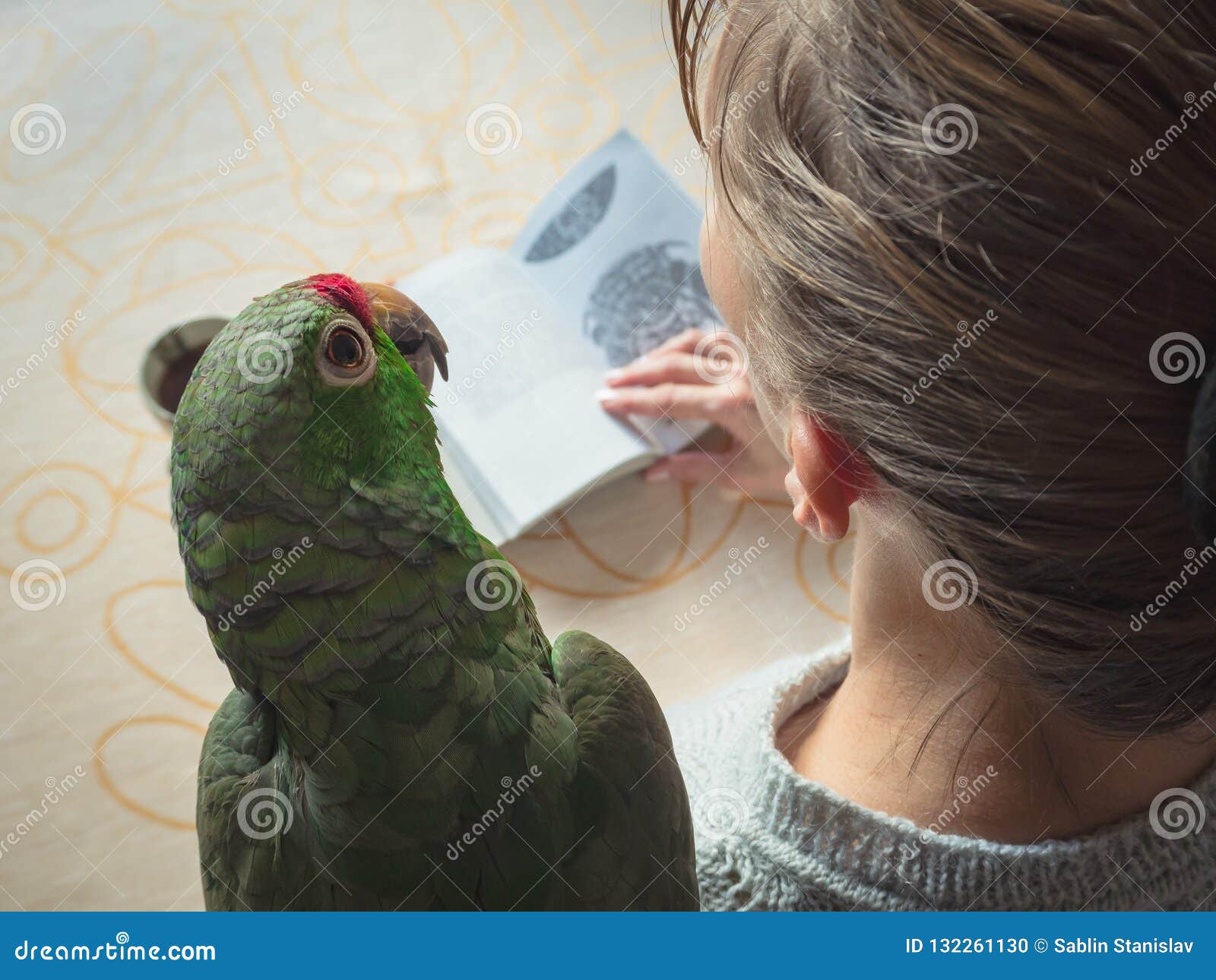 A Woman with a Green Parrot Reading a Book. Stock Photo - Image of hair ...