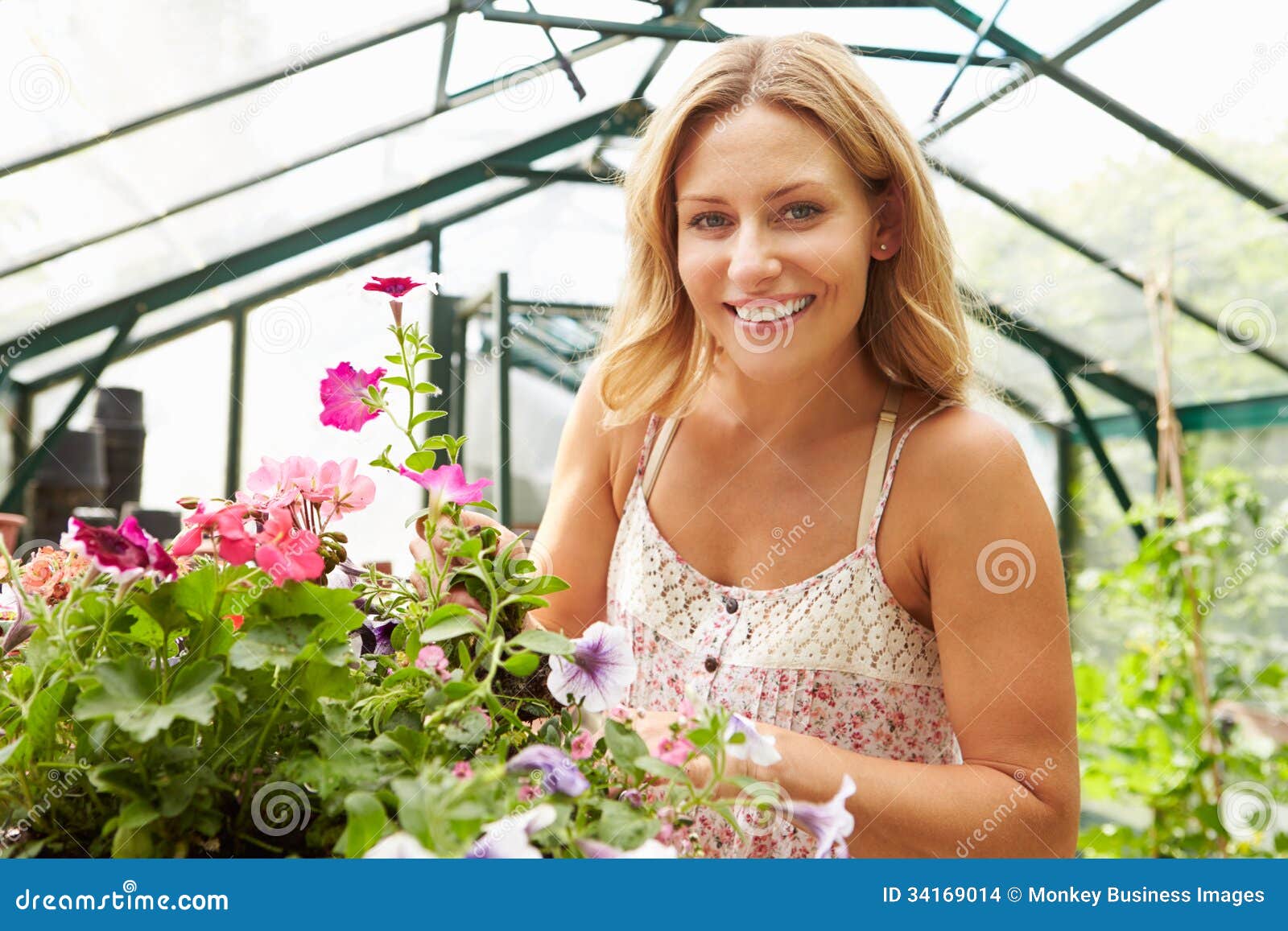 Woman Growing Plants in Greenhouse Stock Photo - Image of horizontal ... Woman Growing Plants in Greenhouse Stock Photo - Image of horizontal ...