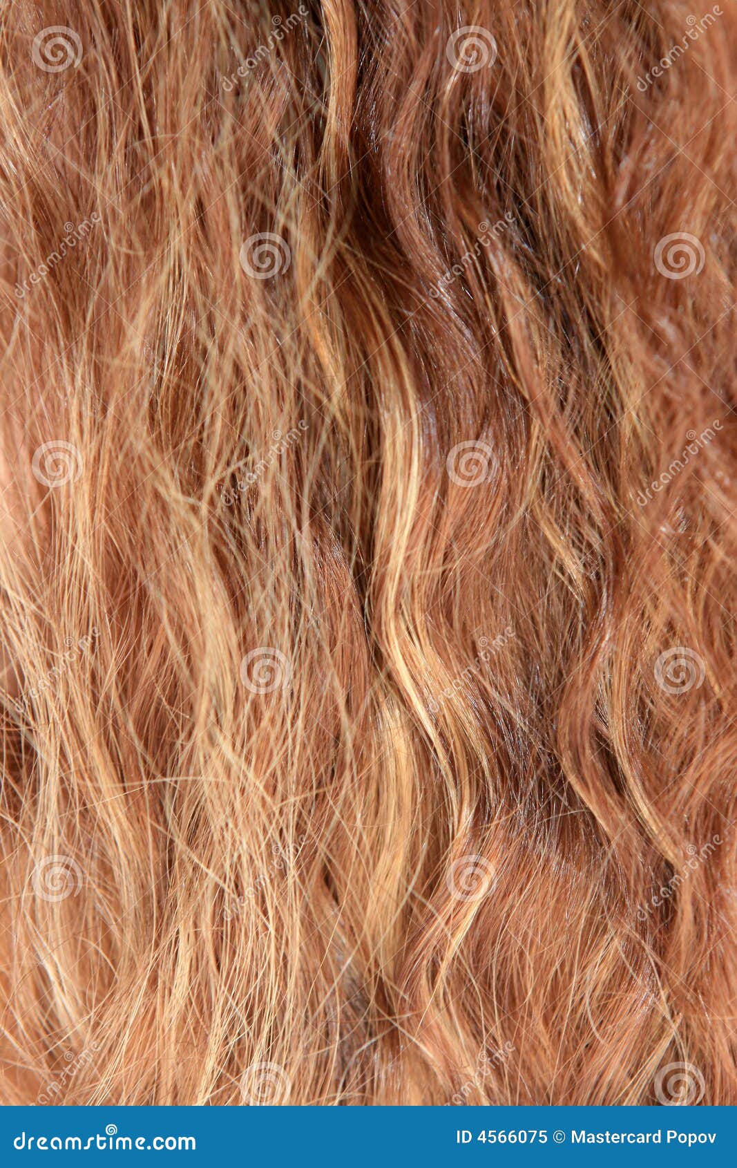 The Woman Hair Picture. Image: 4566075