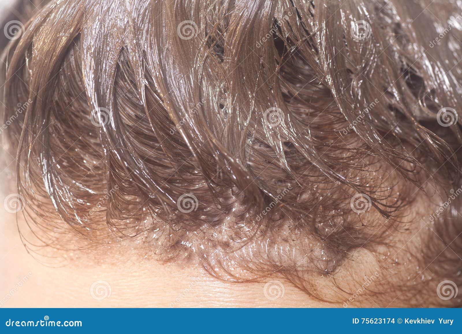 866 Colouring Process Stock Photos - Free & Royalty-Free Stock Photos ...