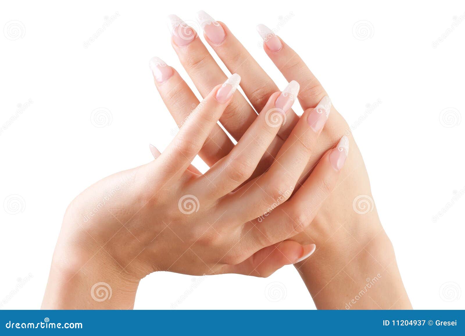 Woman hand stock image. Image of elegance, cosmetics - 11204937