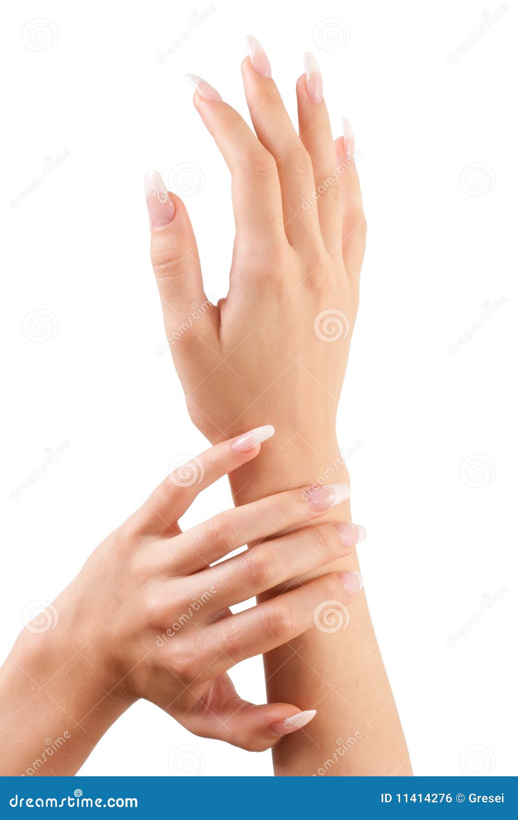 Woman hand stock photo. Image of perfection, cosmetics - 11414276