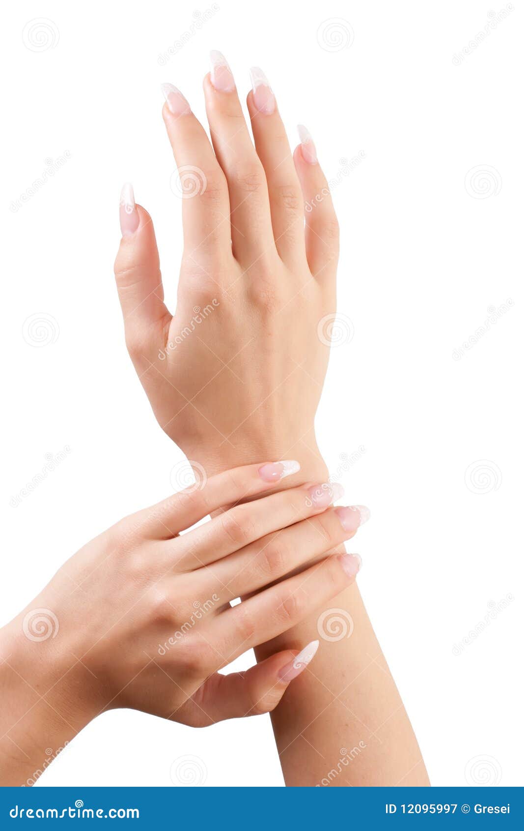 Woman hand stock image. Image of gesturing, elegance - 12095997