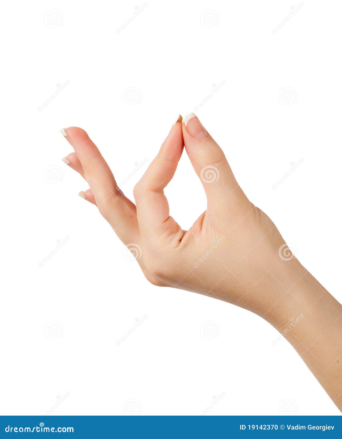 Woman hand stock photo. Image of girl, human, long, manicures - 19142370