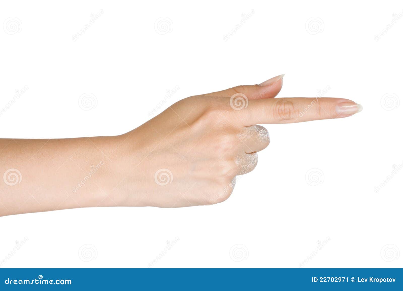 Woman hand. stock image. Image of skin, healthy, female - 22702971