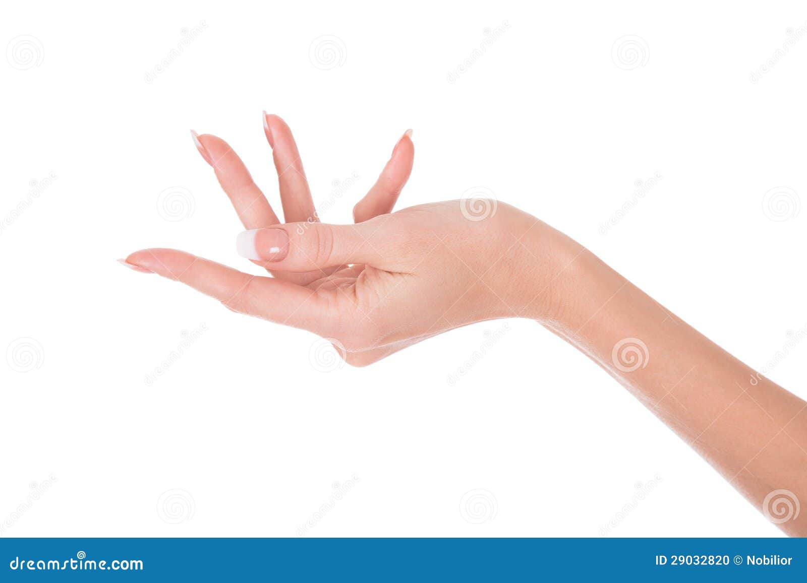 Woman hand stock photo. Image of healthy, female, copyspace - 29032820