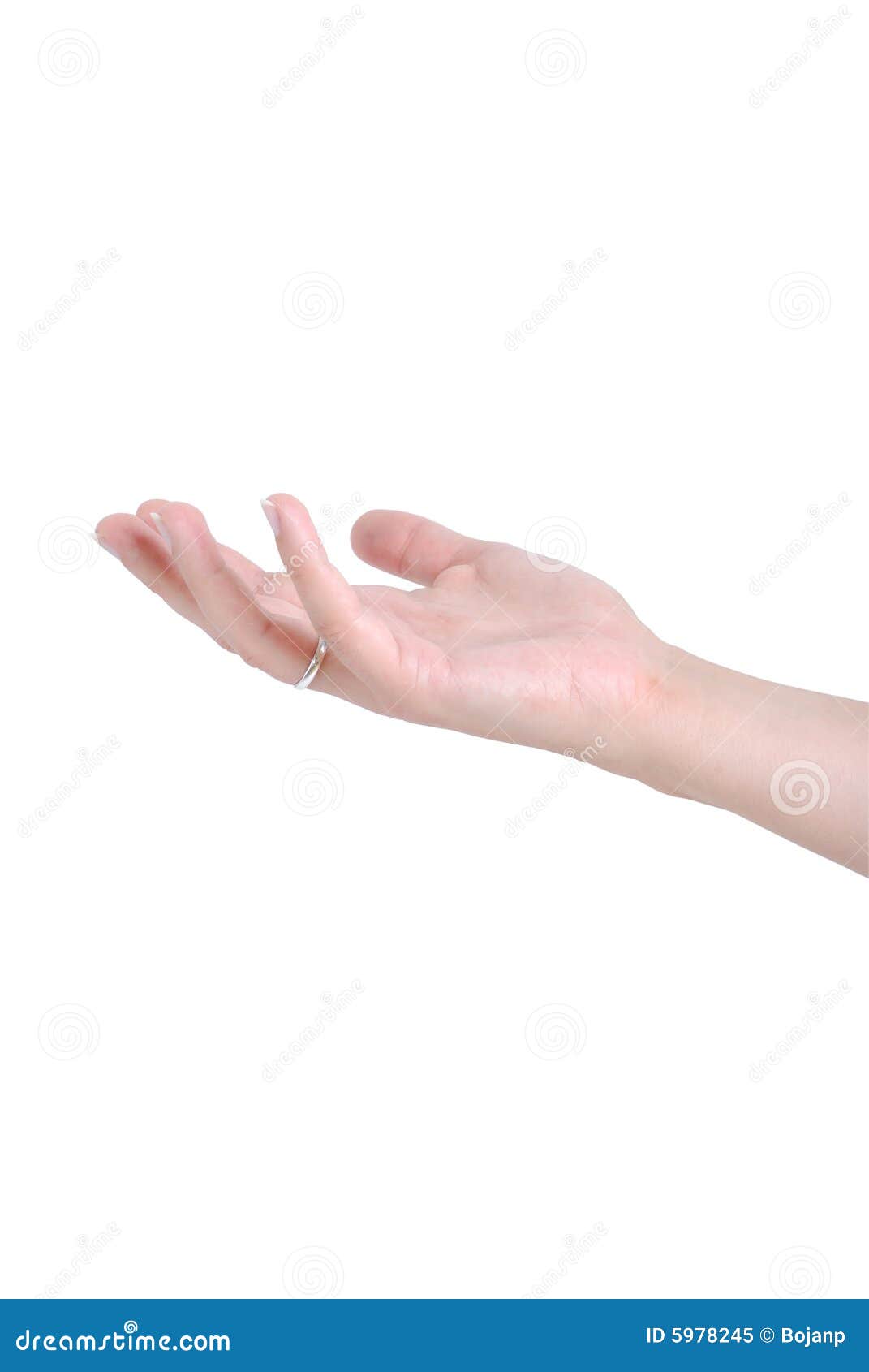 Woman hand stock image. Image of right, woman, abstract - 5978245