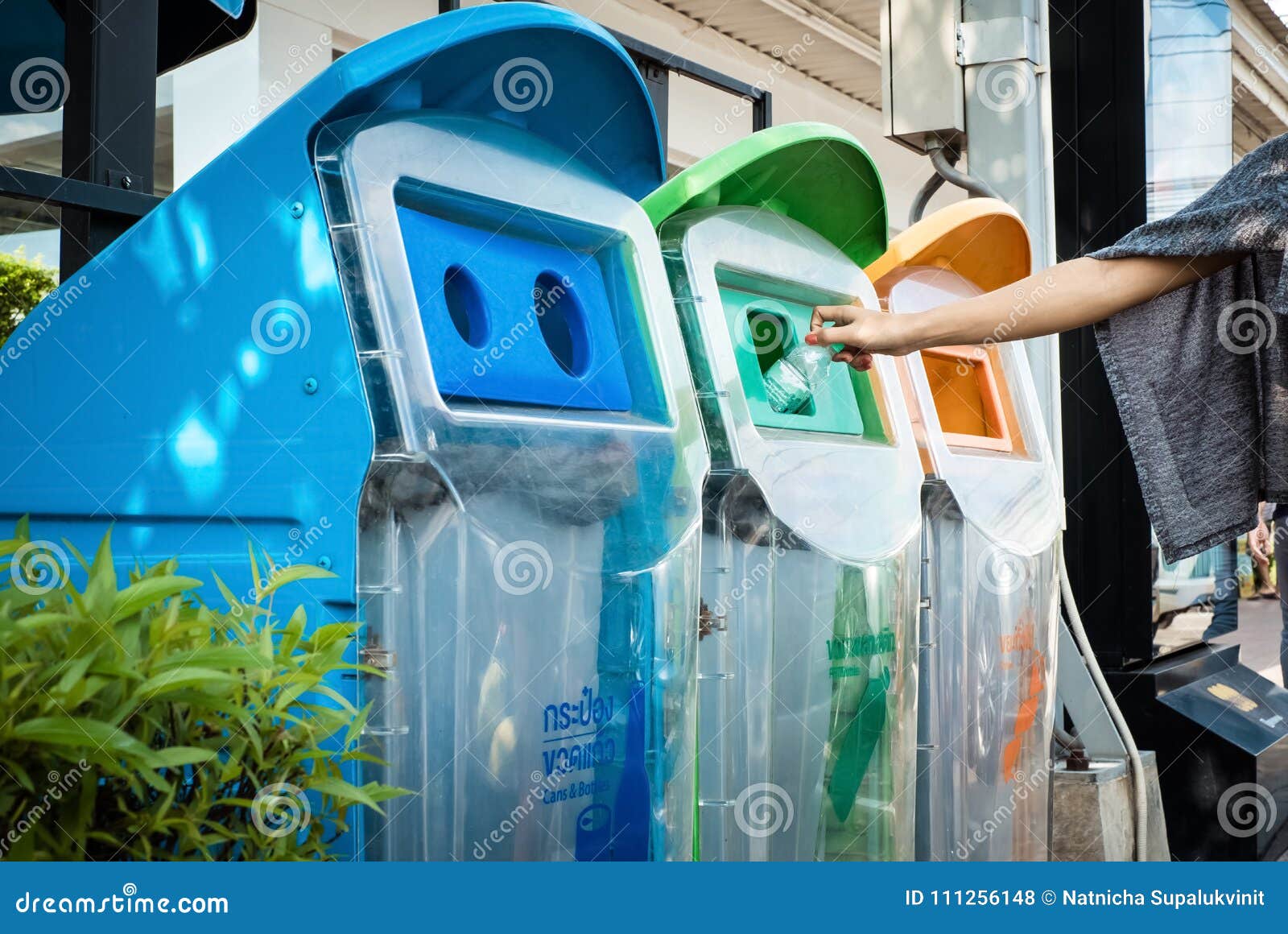 Woman Hand Disposing of Plastic Bottles into the Garbage Bin Stock ...