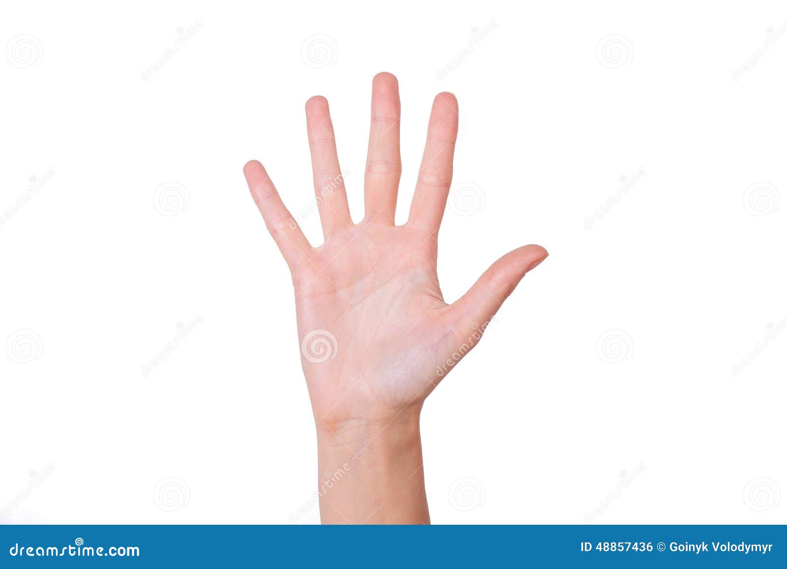 Woman hand stock photo. Image of comp, caucasian, adult - 48857436