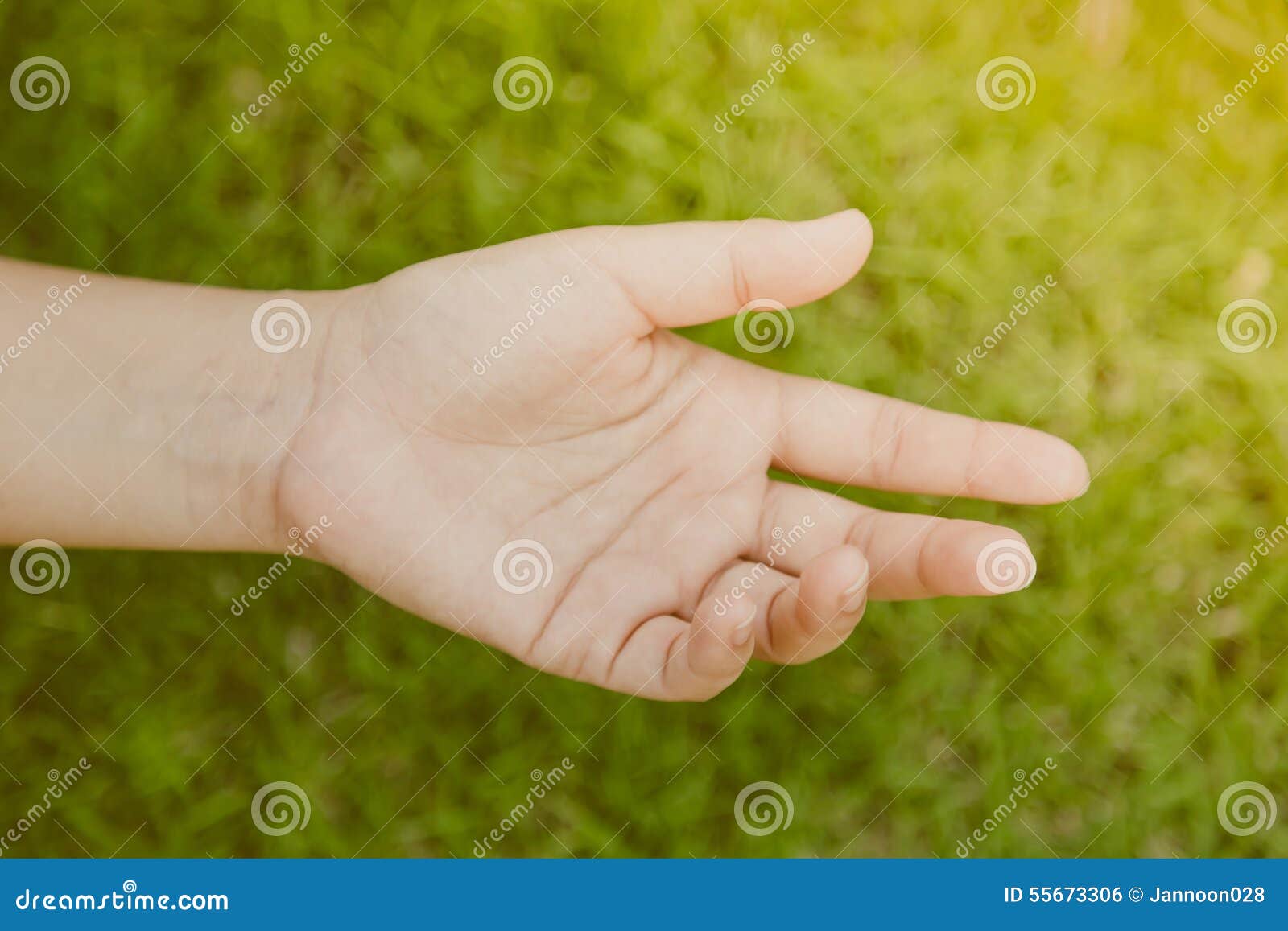 Woman Hand ( Filtered Image Processed Vintage Eff Stock Photo - Image ...
