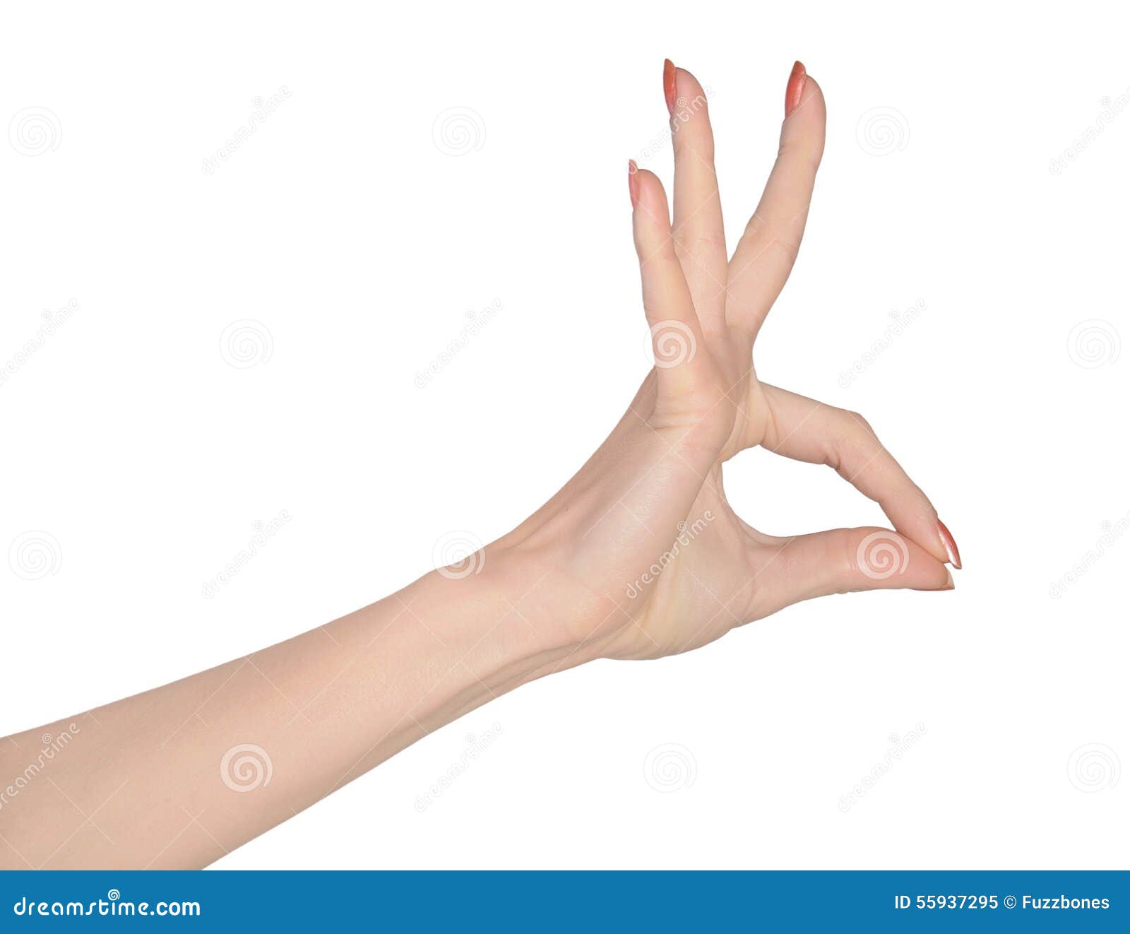 Woman hand give something stock image. Image of offer - 55937295