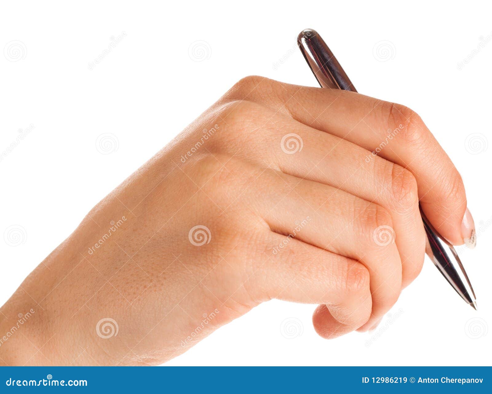 Woman Hand Hold Pen Stock Image Image Of Partnership 12986219