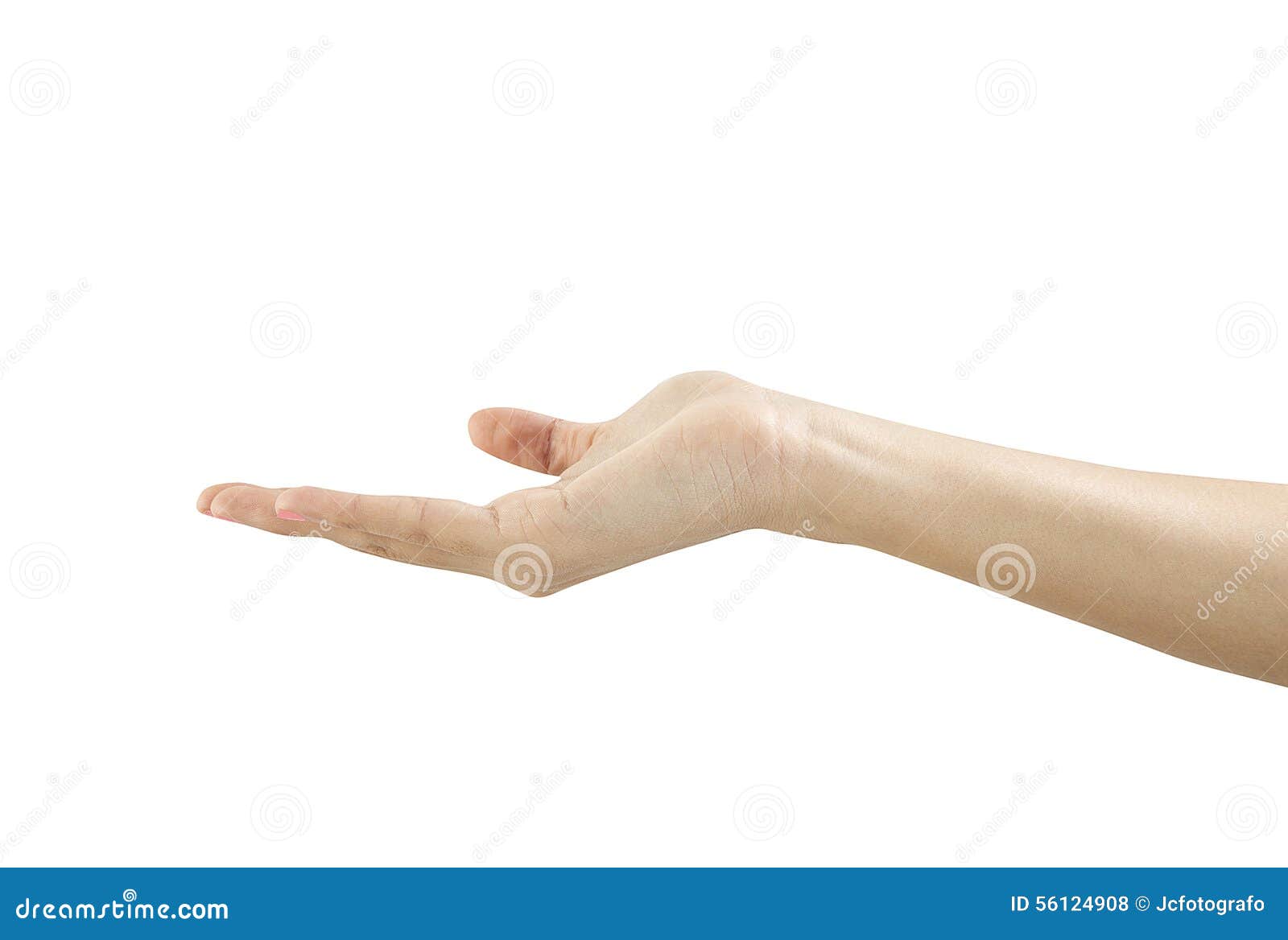 Woman hand stock photo. Image of blank, isolated, giving - 56124908