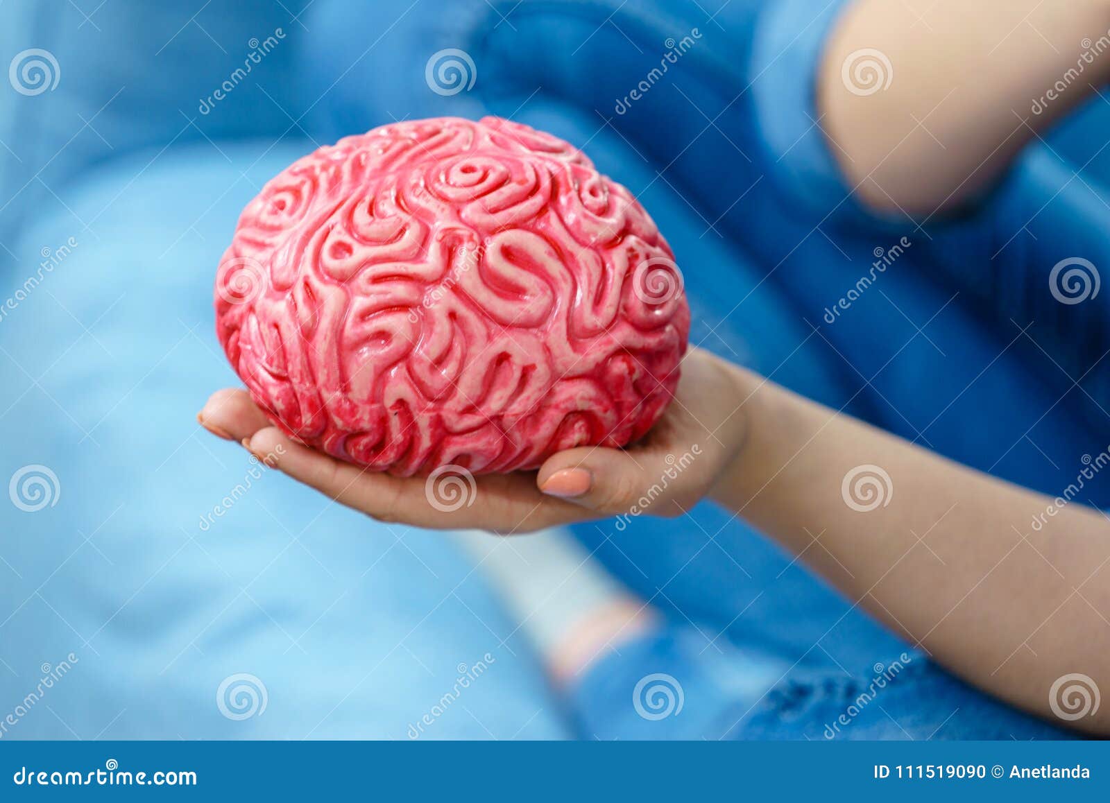 Woman hand holding brain stock photo. Image of scientist - 111519090