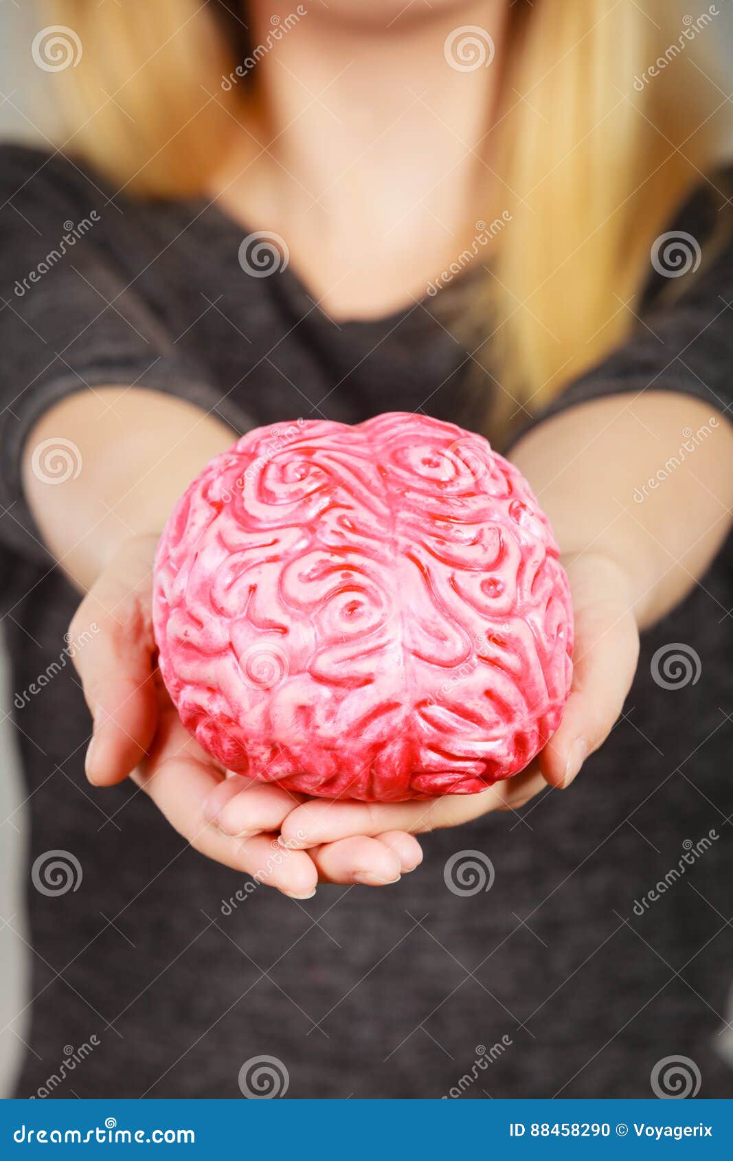 Woman hand holding brain stock photo. Image of education - 88458290