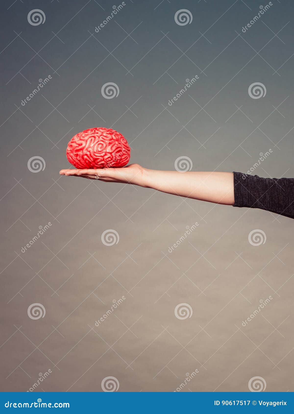 Woman hand holding brain stock image. Image of anatomy - 90617517