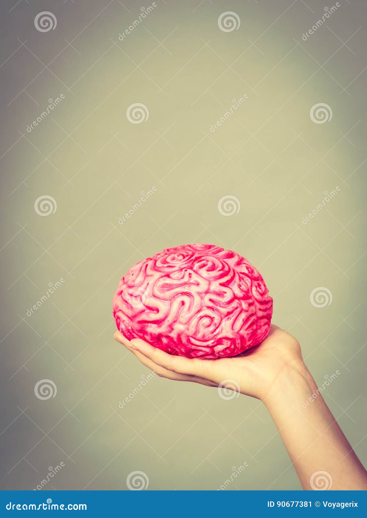 Woman hand holding brain stock image. Image of idea, woman - 90677381