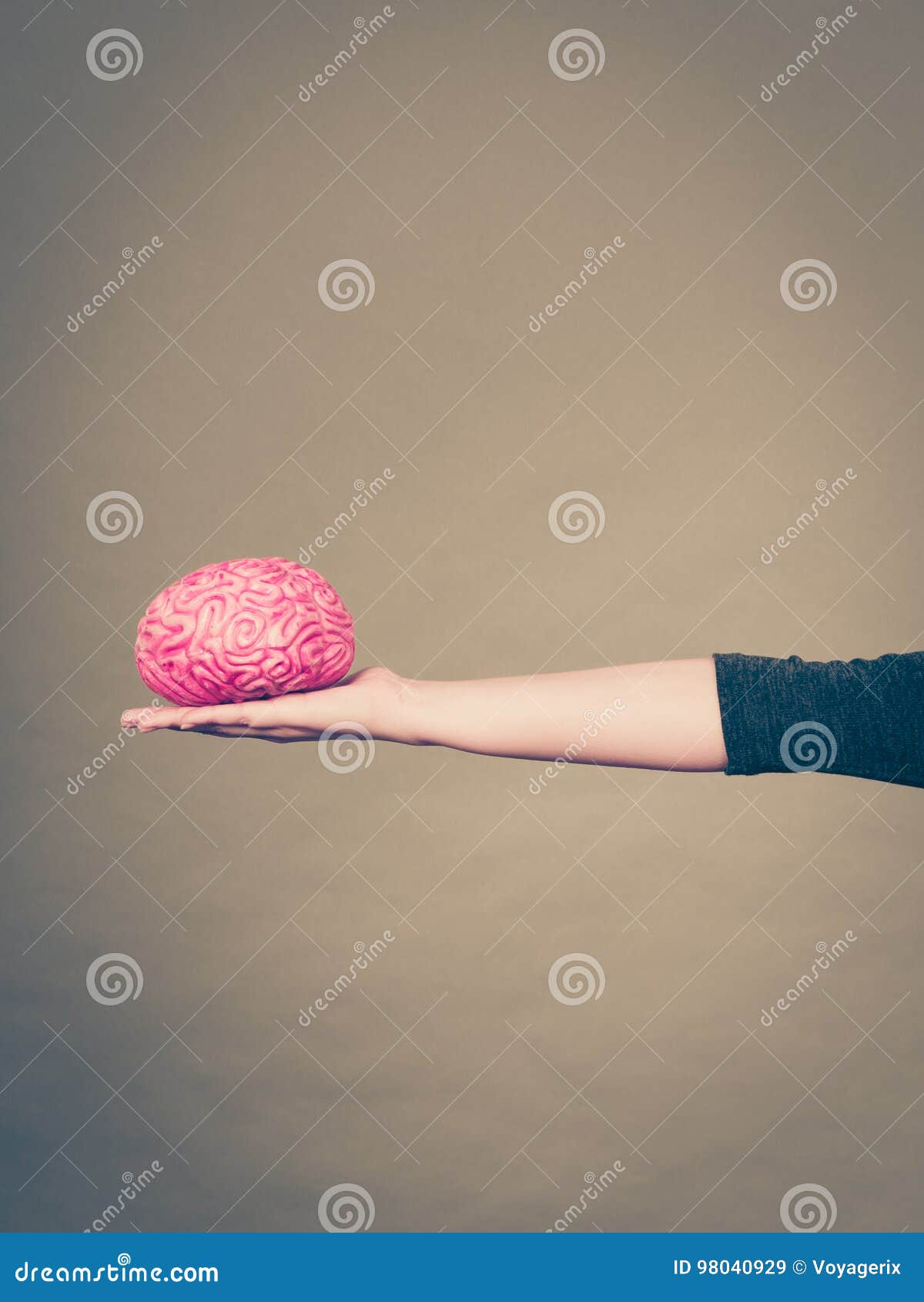 Woman hand holding brain stock image. Image of idea, wondering - 98040929