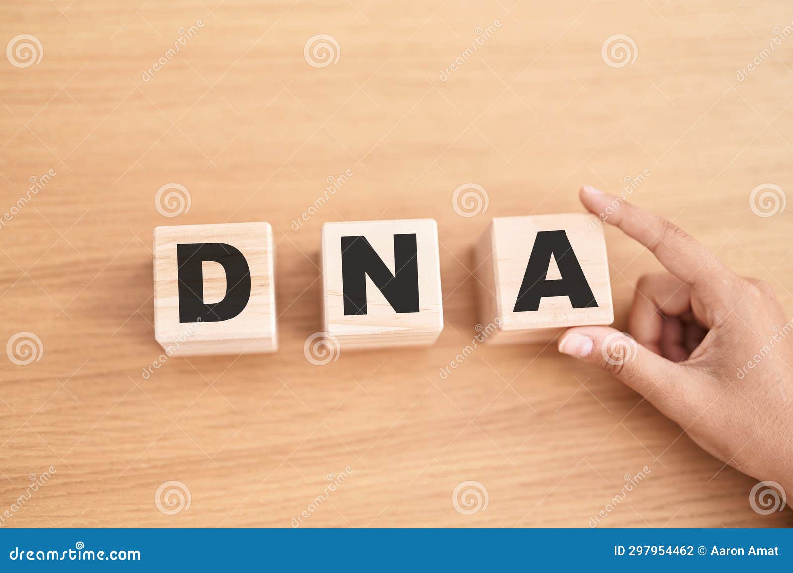 Woman Hand Holding Cubes with Dna Word on the Table Stock Photo - Image ...