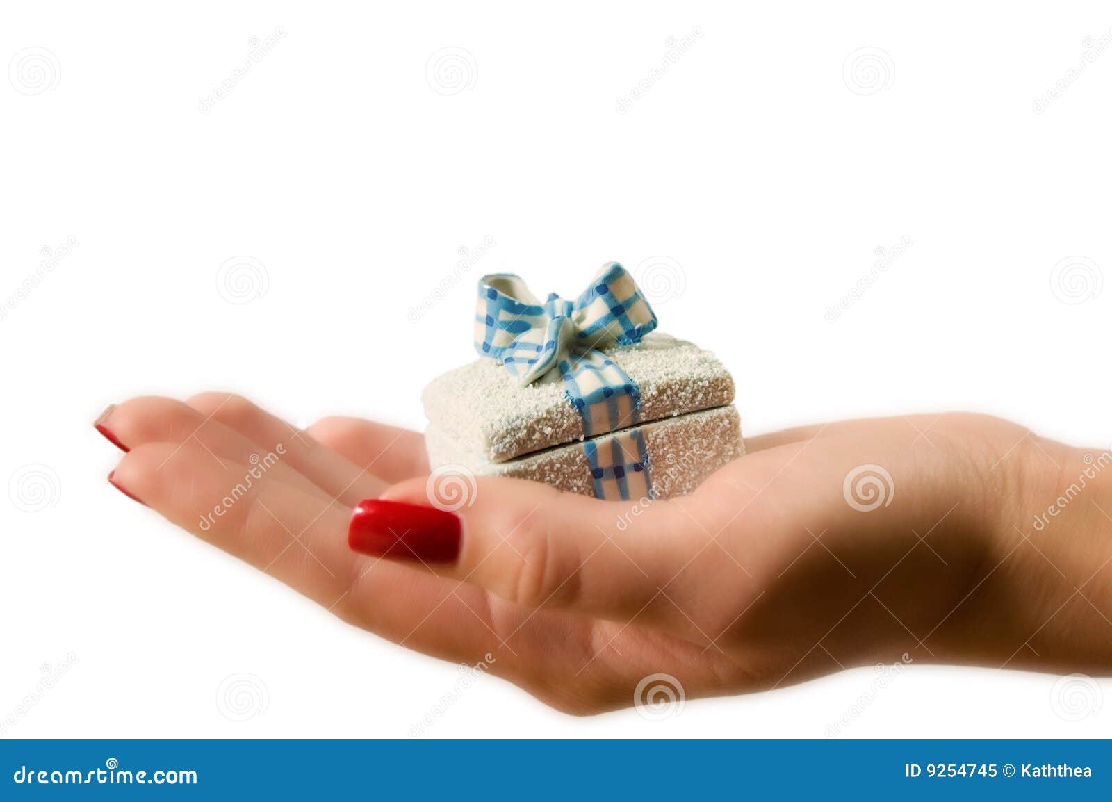 Woman Hand Holding a Gift Box Stock Image - Image of girl, blue: 9254745