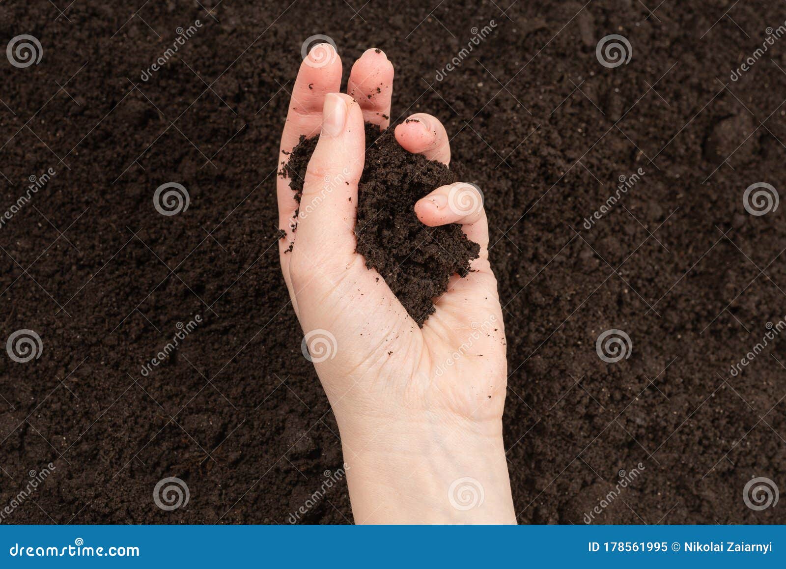 Woman hand holding ground stock image. Image of ground - 178561995