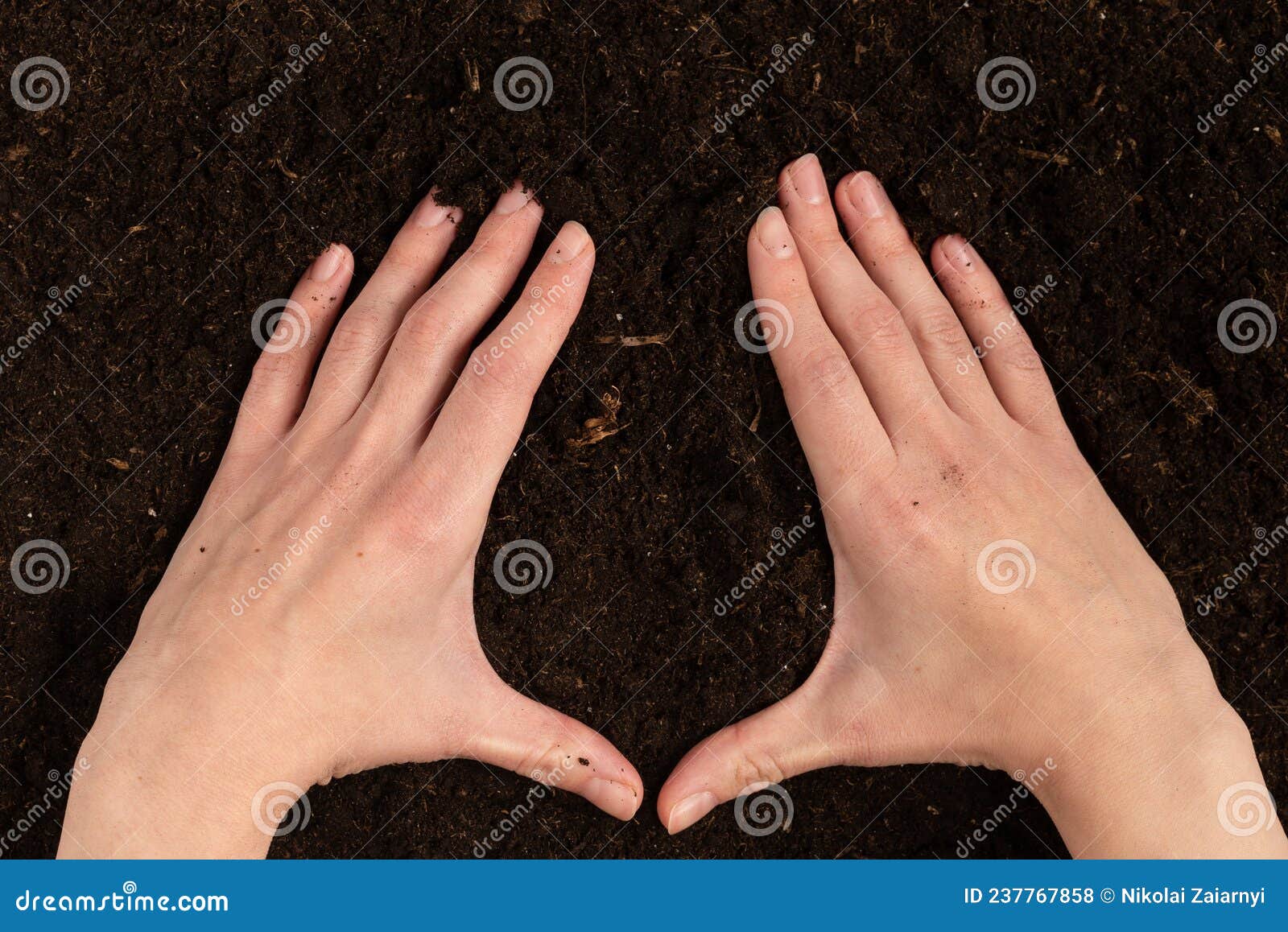 Woman Hand Holding Ground. Top View Stock Photo - Image of ecology ...