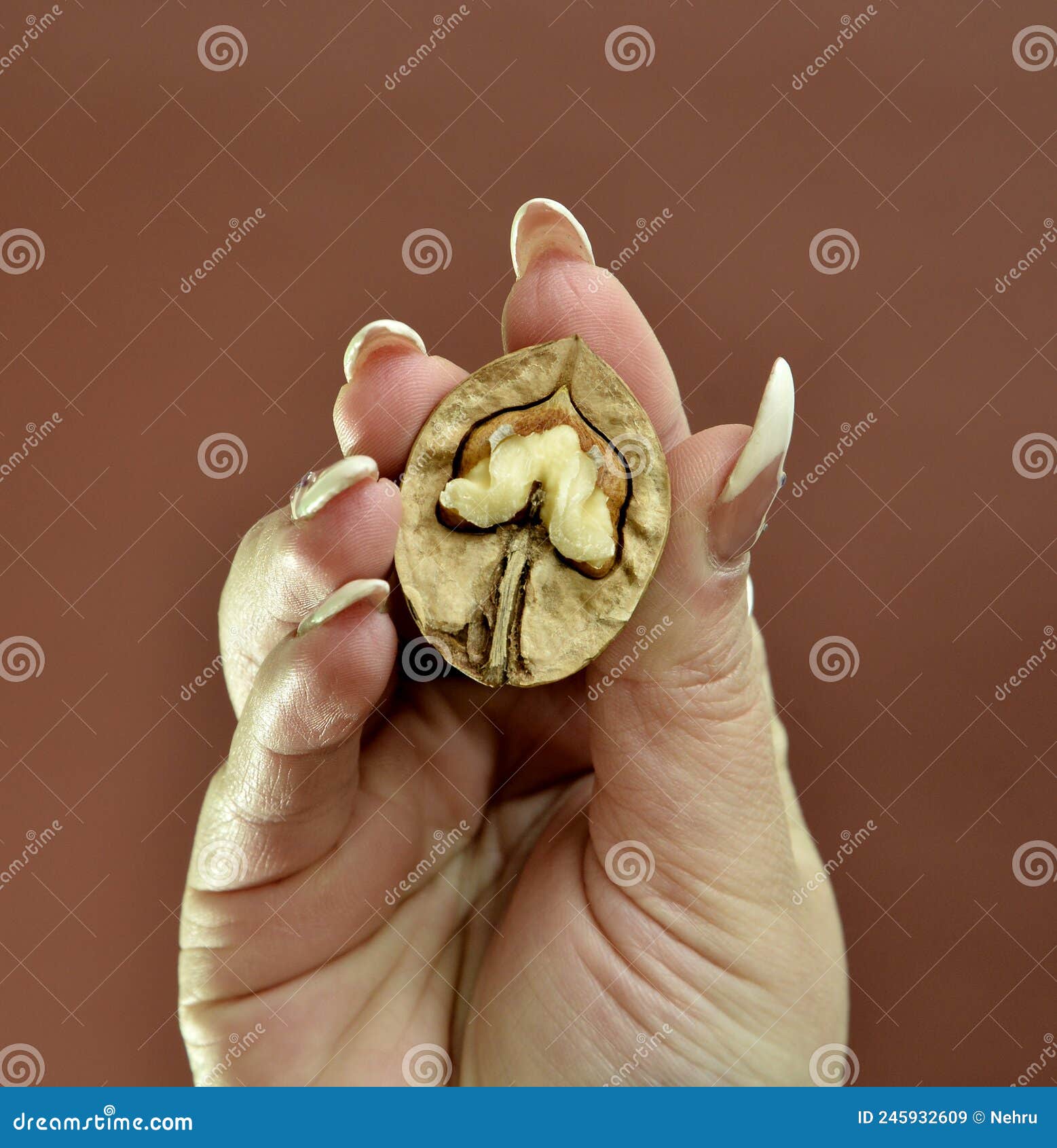 Woman Hand Holding Halved Walnut Stock Image - Image of manicure ... Woman Hand Holding Halved Walnut Stock Image - Image of manicure ...