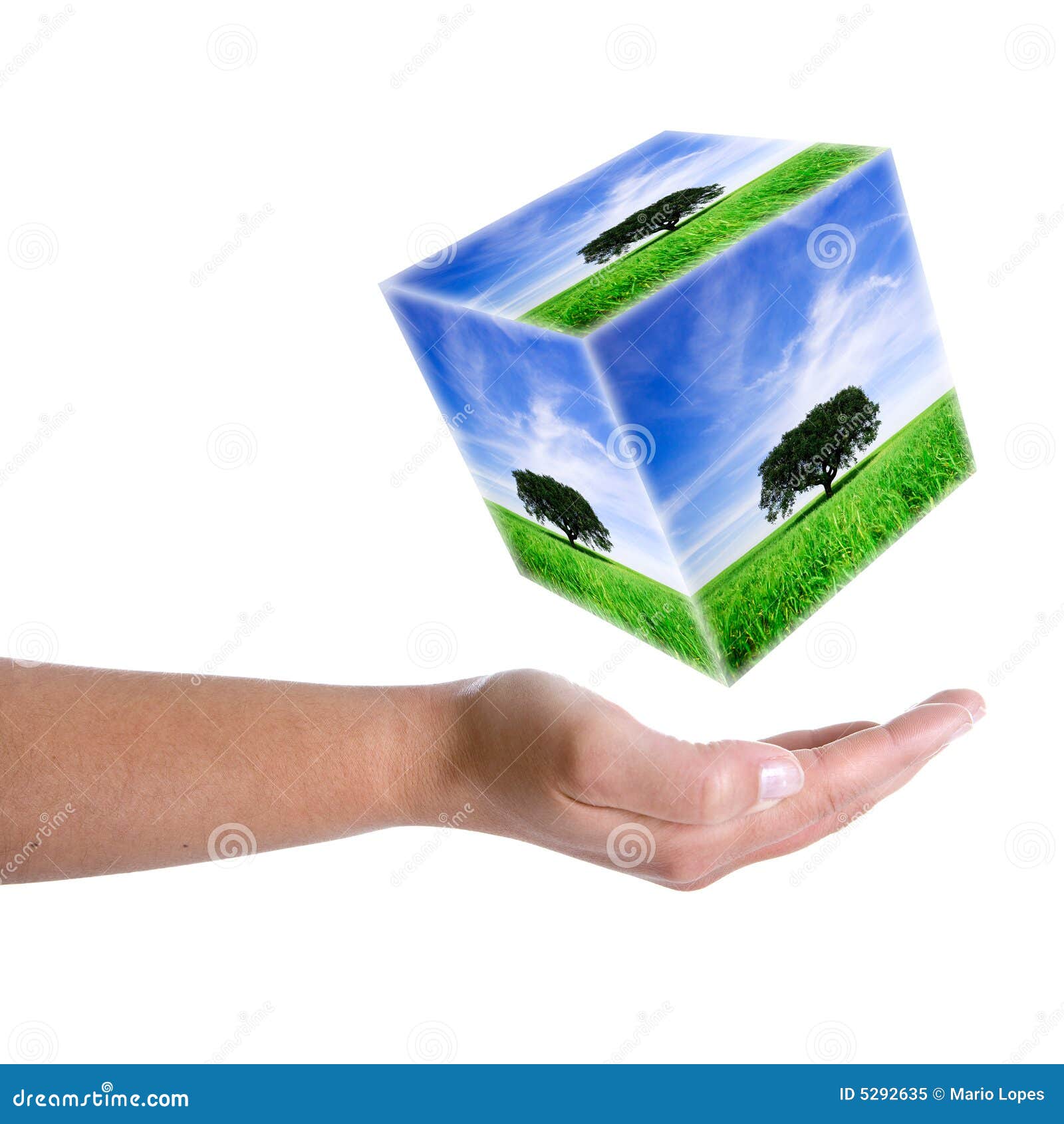Woman Hand Holding Landscape in 3D Cube Stock Image - Image of ...