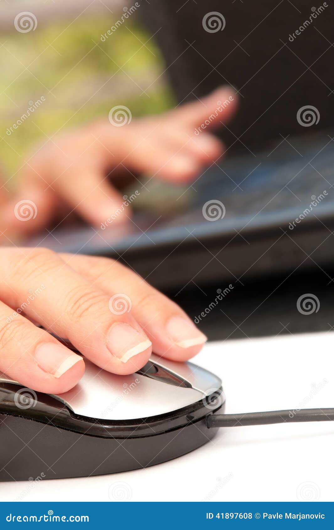Woman hand holding mouse stock photo. Image of closeup - 41897608