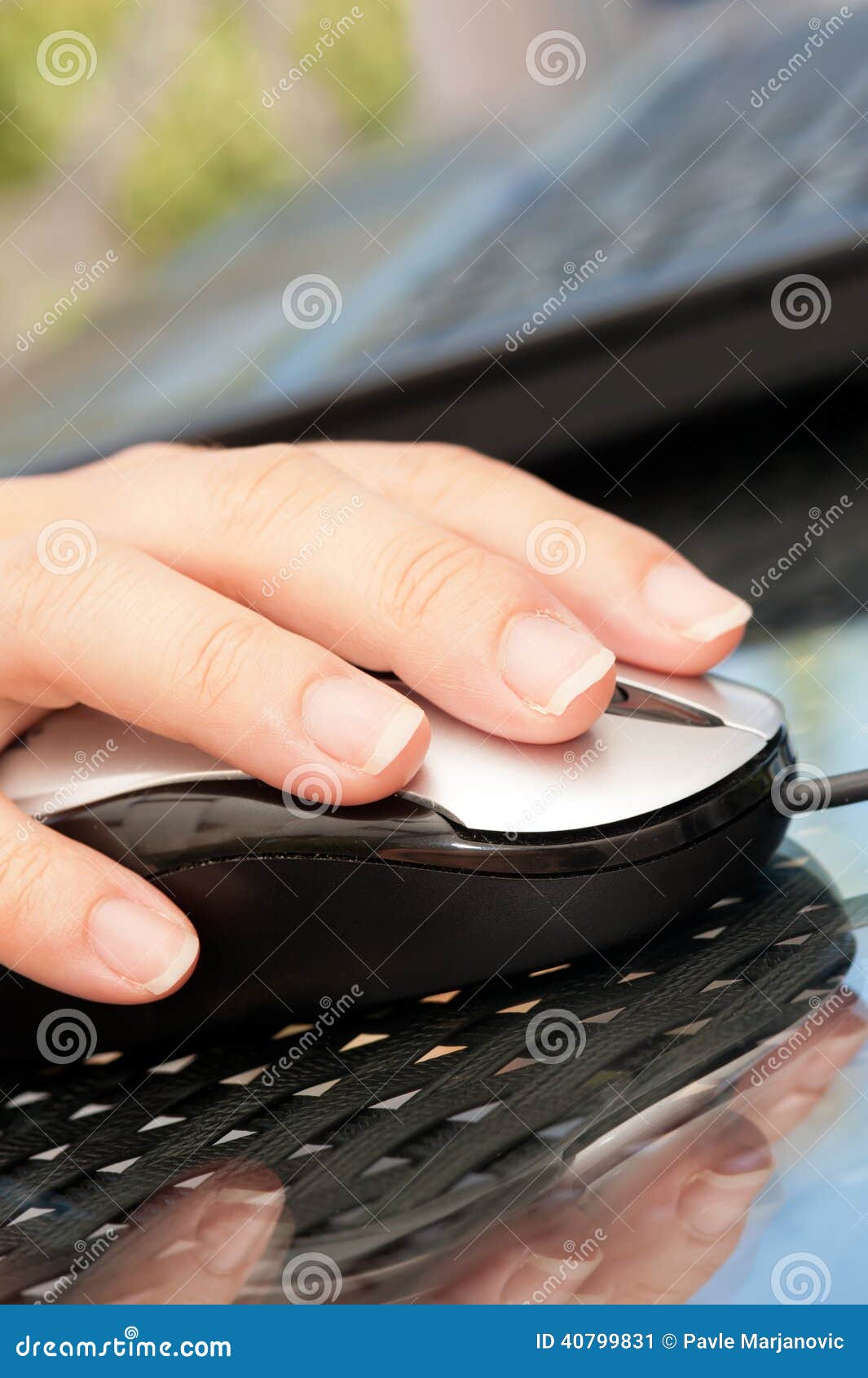 Woman hand holding mouse stock image. Image of mouse - 40799831