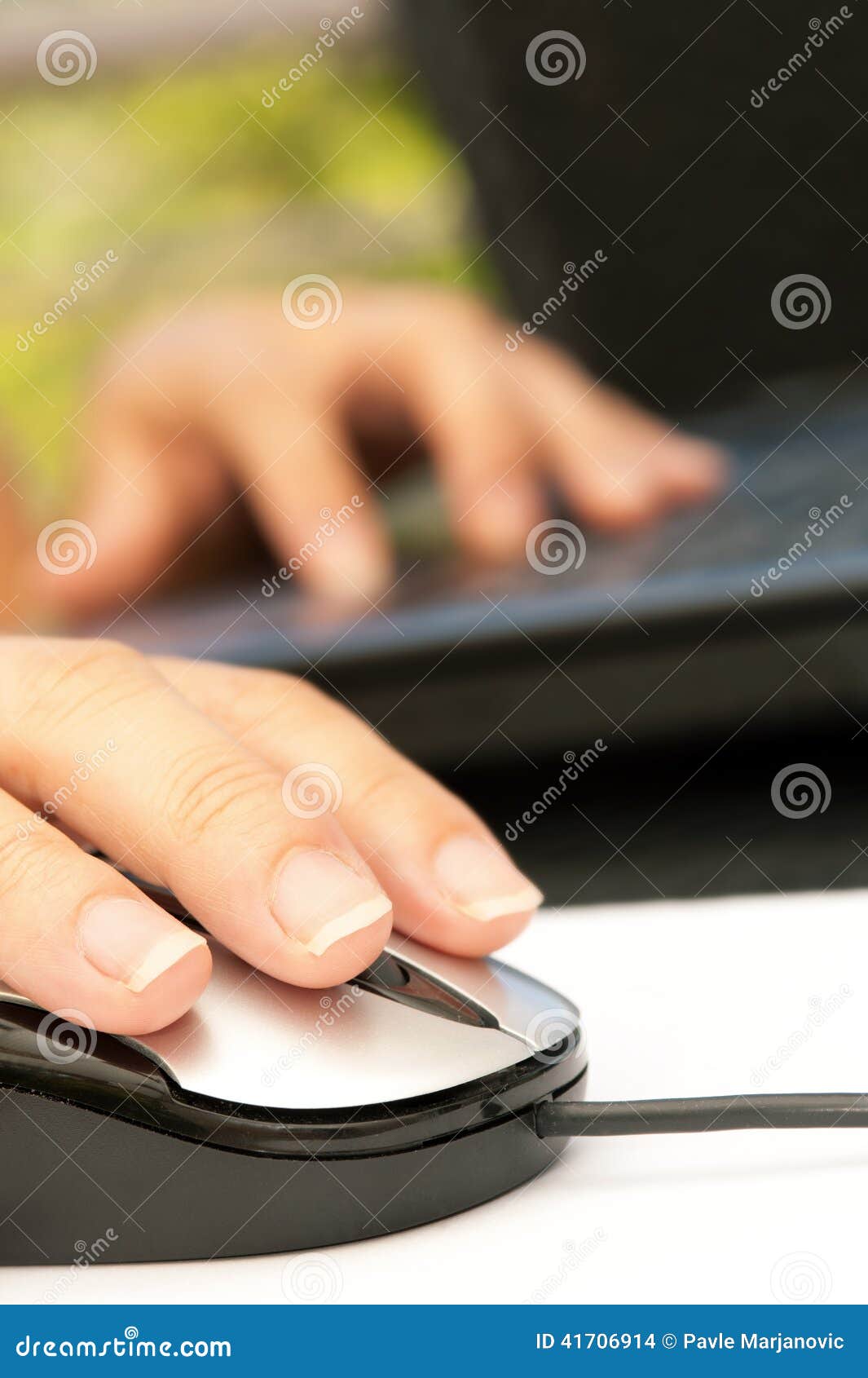Woman hand holding mouse stock photo. Image of human - 41706914