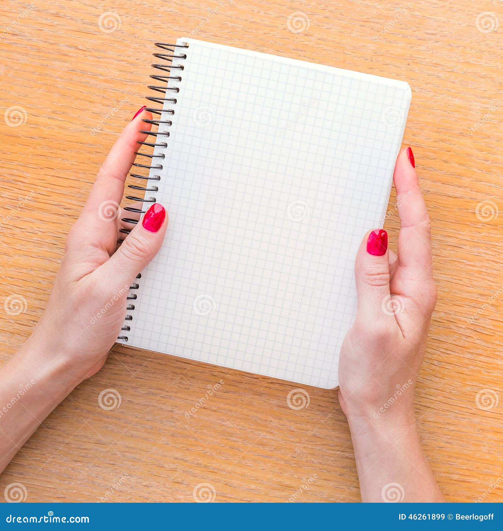 Woman Hand Holding Notebook Stock Image - Image of notepad, color: 46261899
