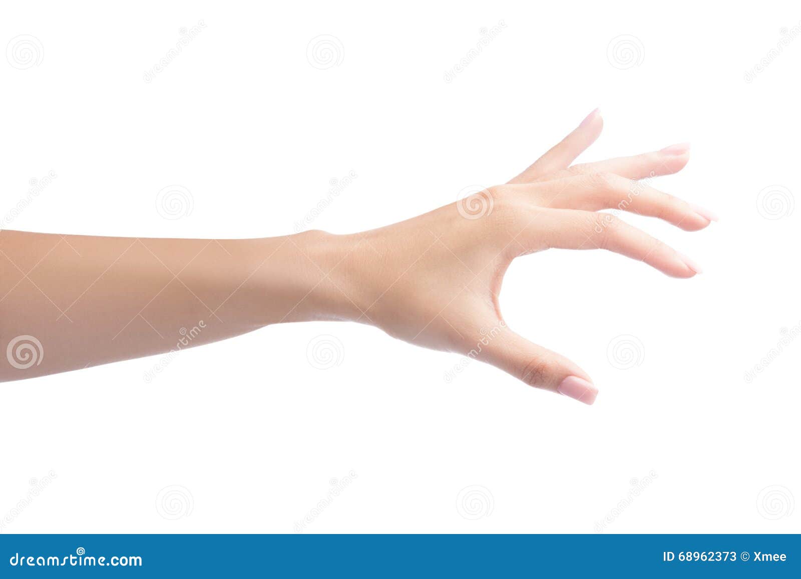 Woman hand holding object stock image. Image of clipping - 68962373