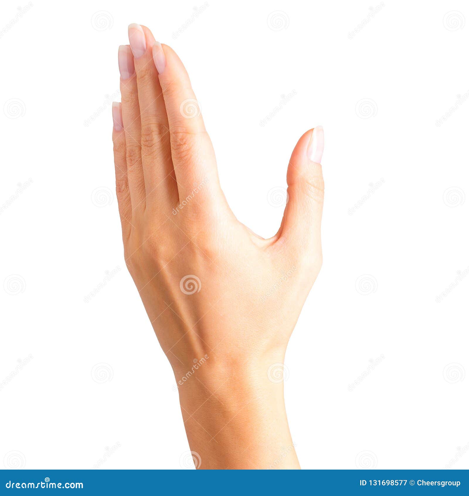 Woman Hand Holding Something. Side View Isolated with Clipping Path ...