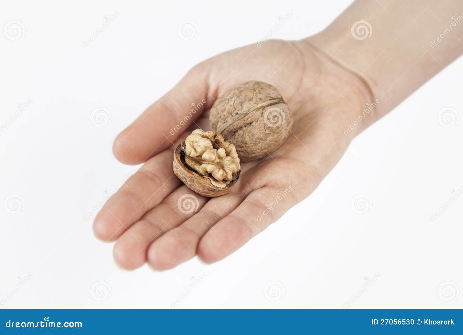Woman hand holding walnuts stock photo. Image of palm - 27056530
