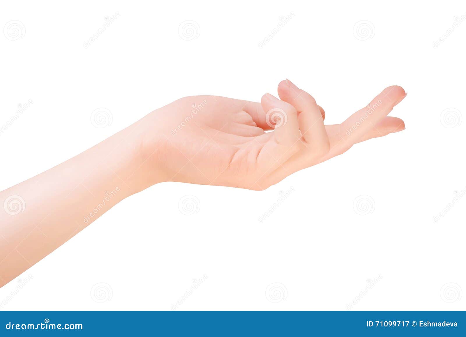 Woman Hand in Inviting or Demanding Gesture Stock Image - Image of ...
