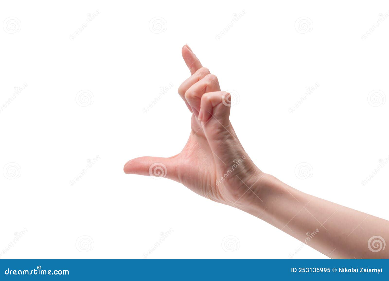 Woman Hand Isolated on a White Background Stock Image - Image of life ...