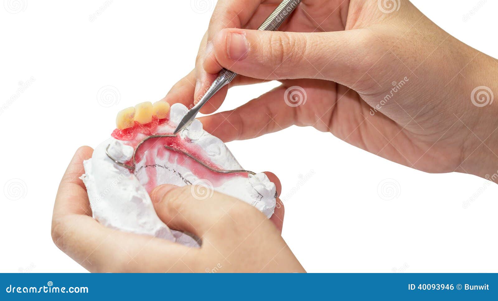 Woman Hand Make Denture with Tool Stock Photo - Image of dentist ...