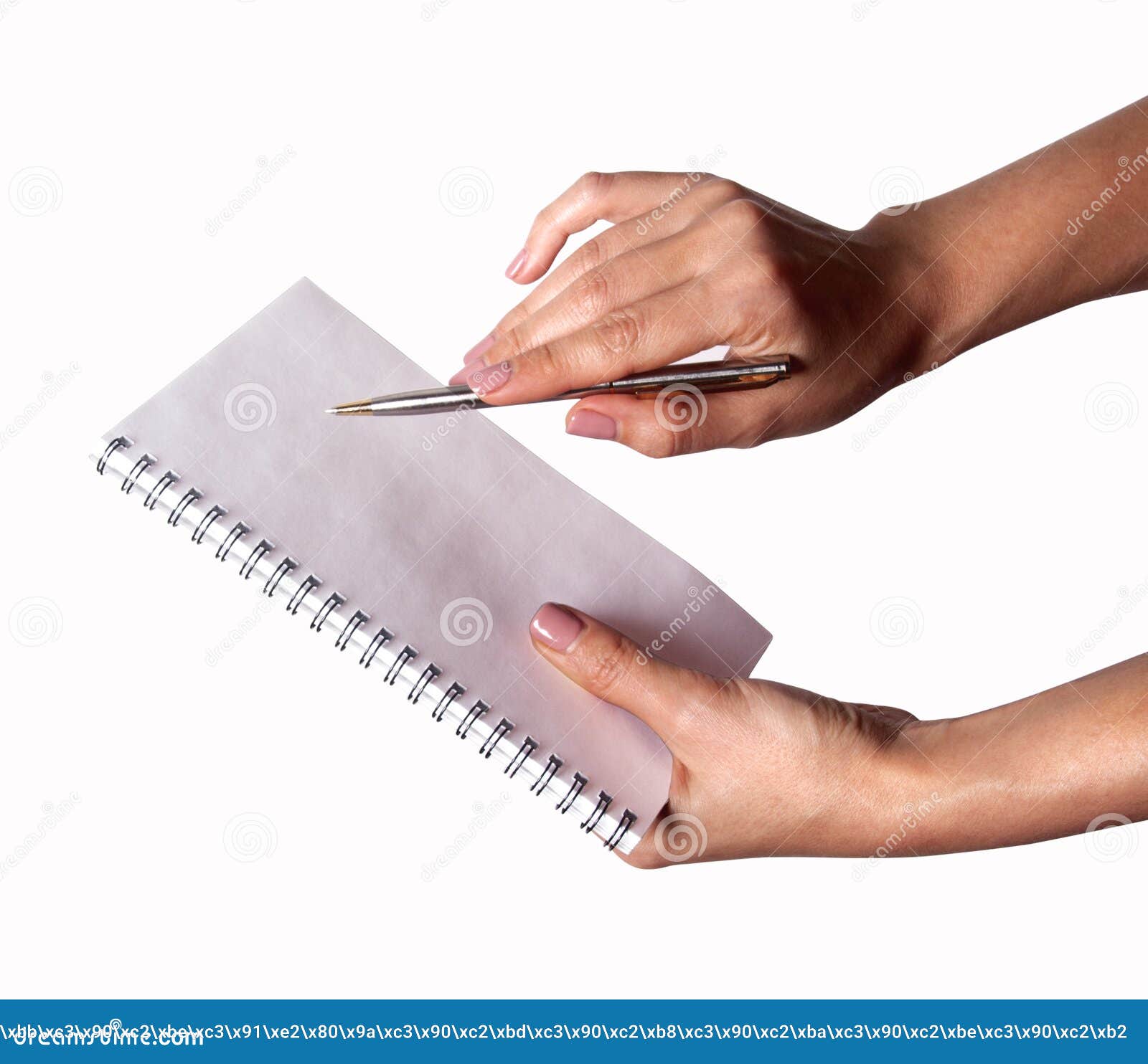 Woman Hand with Pen and Notebook Stock Image - Image of empty, office ...