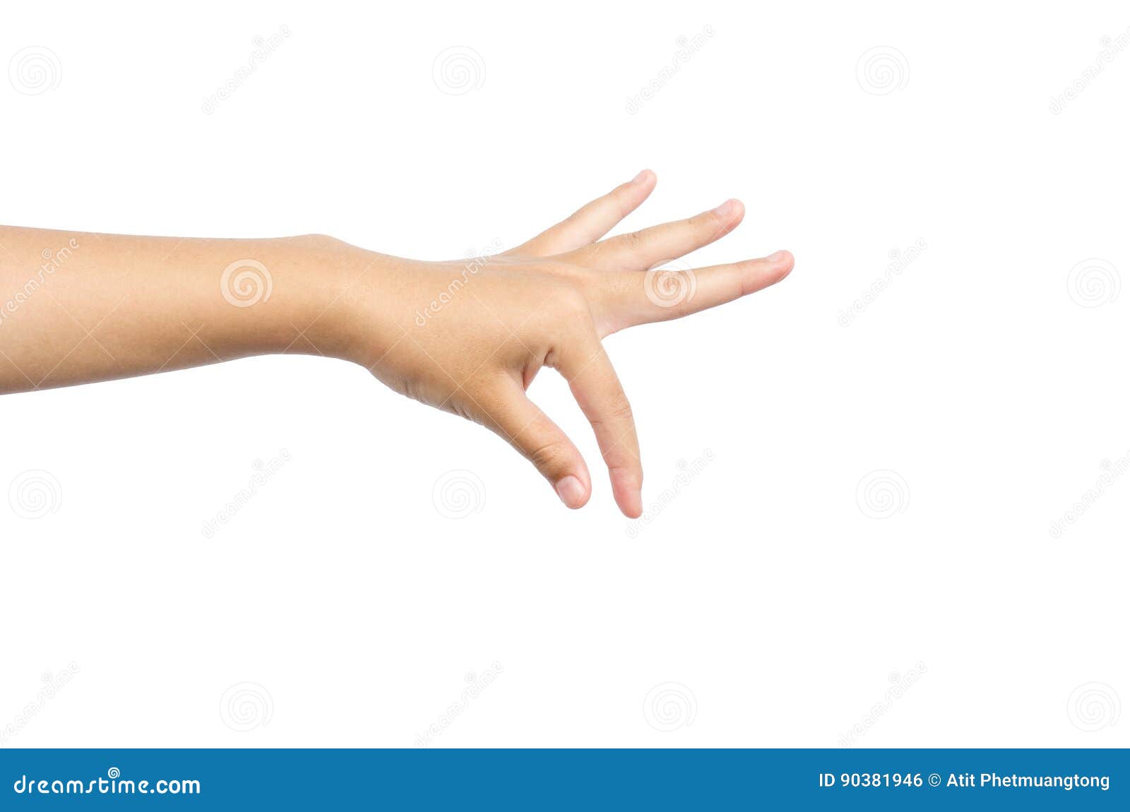 Woman Hand Pick Up Object Stock Photos - Download 181 Royalty Free Photos