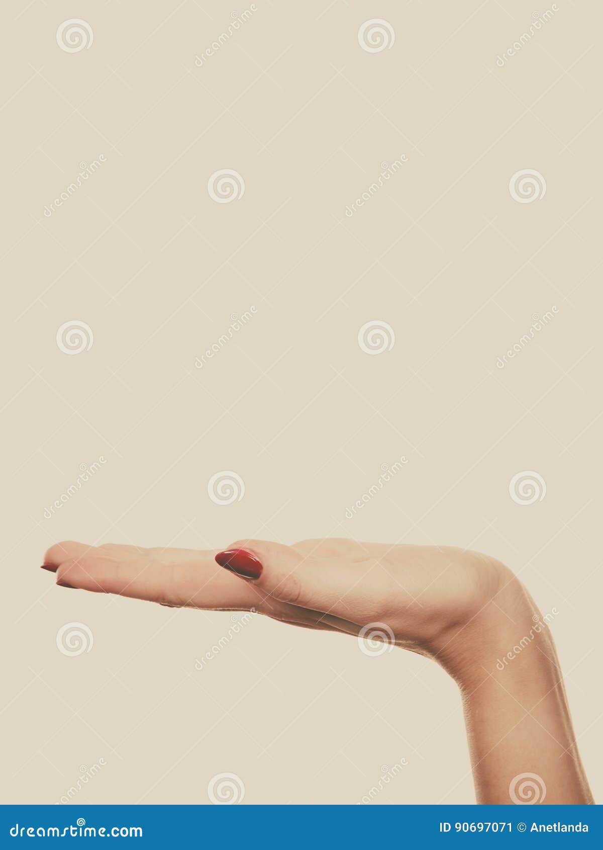 Woman Hand Pointing at Something in Copyspace Stock Image - Image of ...